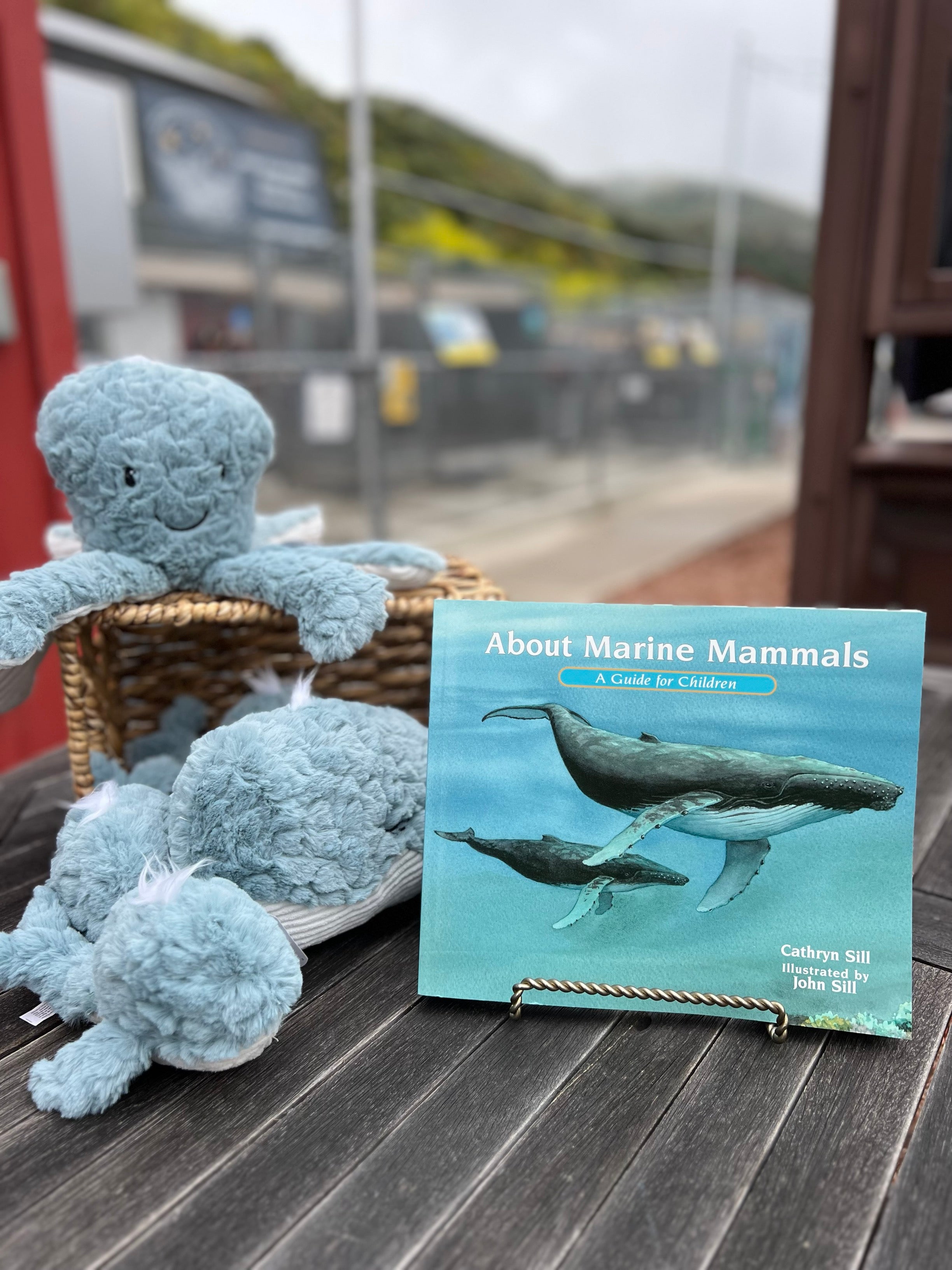 About Marine Mammals - A Children's Guide – Pacific Marine Mammal Center