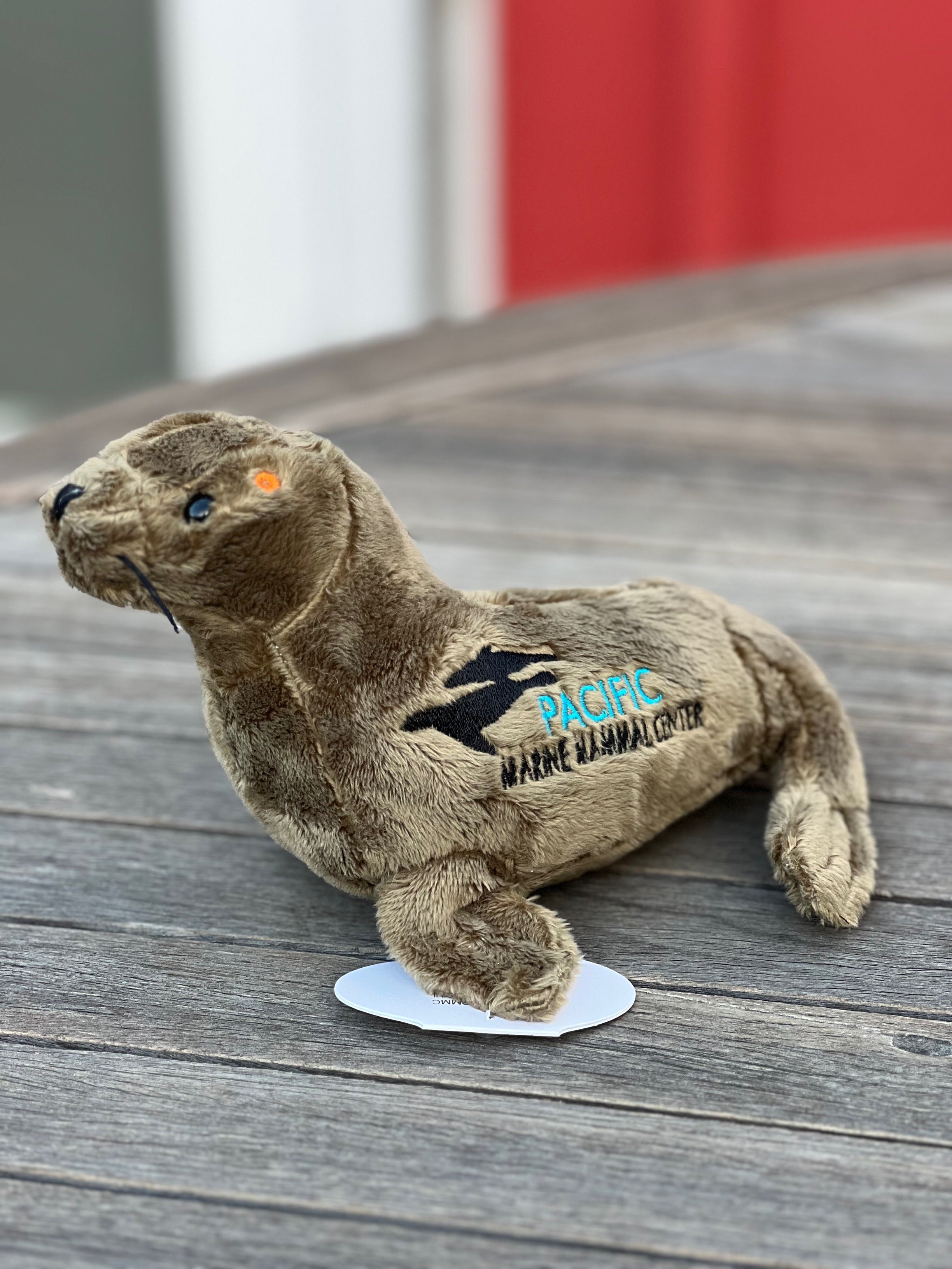 PMMC Sea Lion Plush 2025 – Pacific Marine Mammal Center
