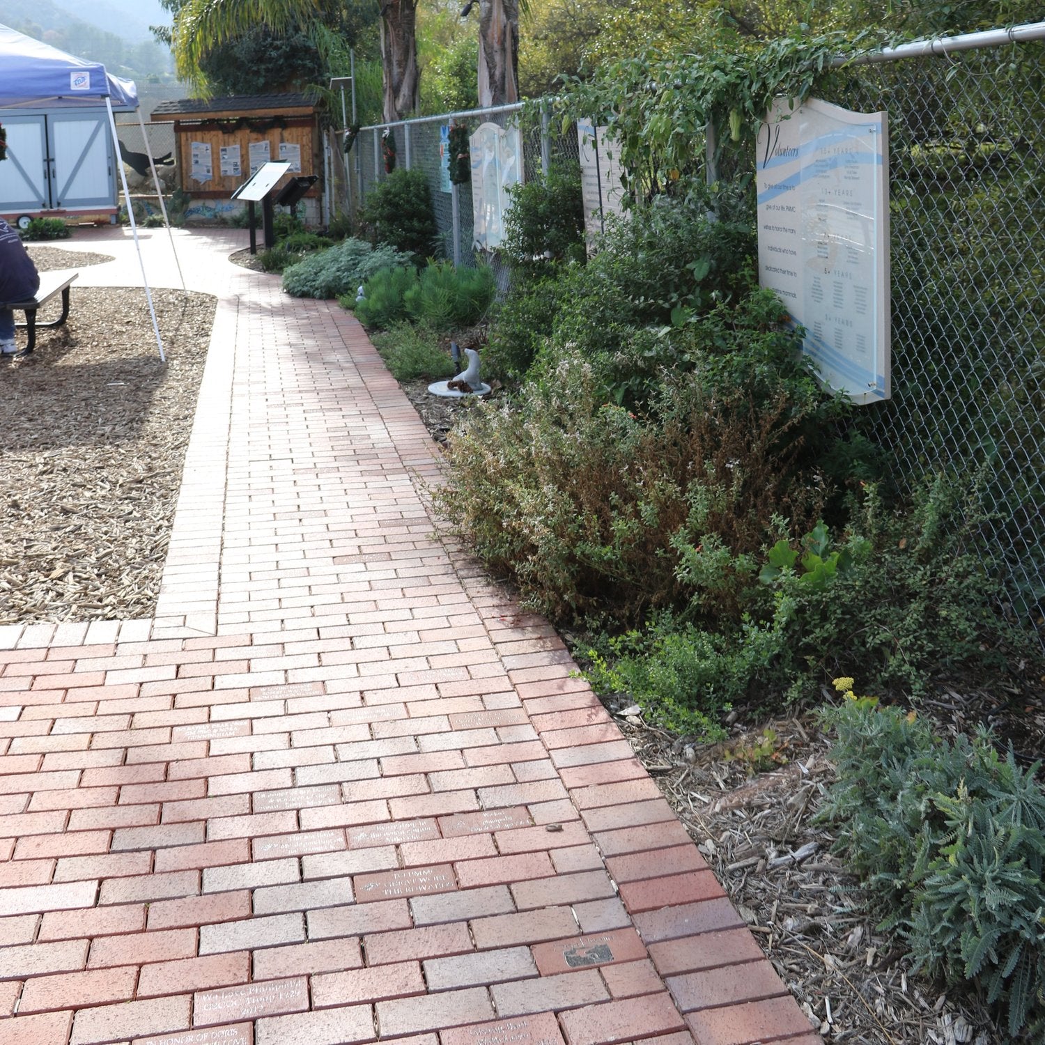 "Pathways for Pinnipeds" Brick Program – Pacific Marine Mammal Center